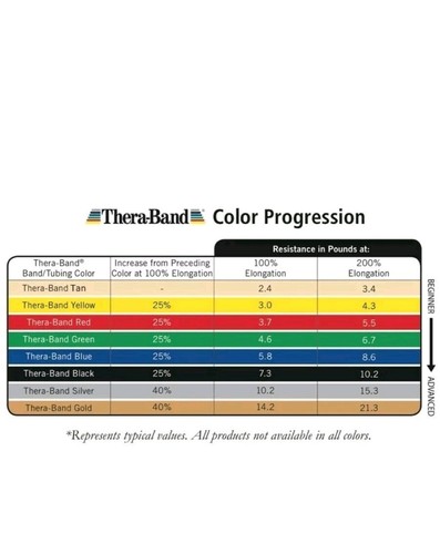BLUE Theraband by the FOOT Physical Therapy Exercise Band Resistive ...