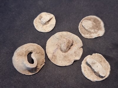 Roman - Medieval Lead - Vatican