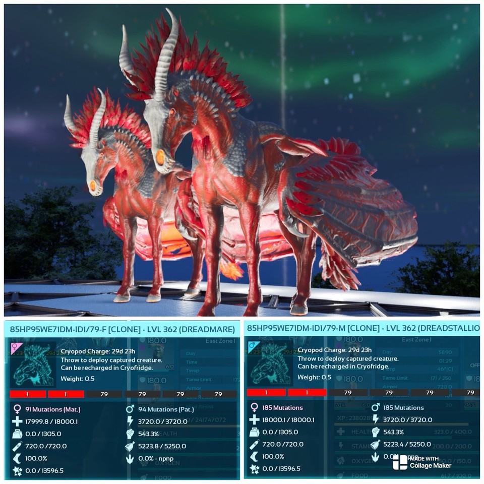 Ark Survival Ascended PVE TOP STAT DEADPOOL DREADMARE PAIR XBOX/PC/PS5 ...
