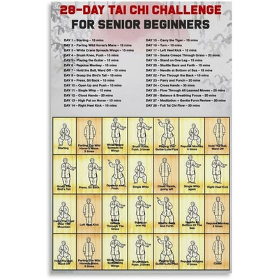28 Day Tai Chi Challenge for Senior Beginners Chart Poster Canvas | eBay