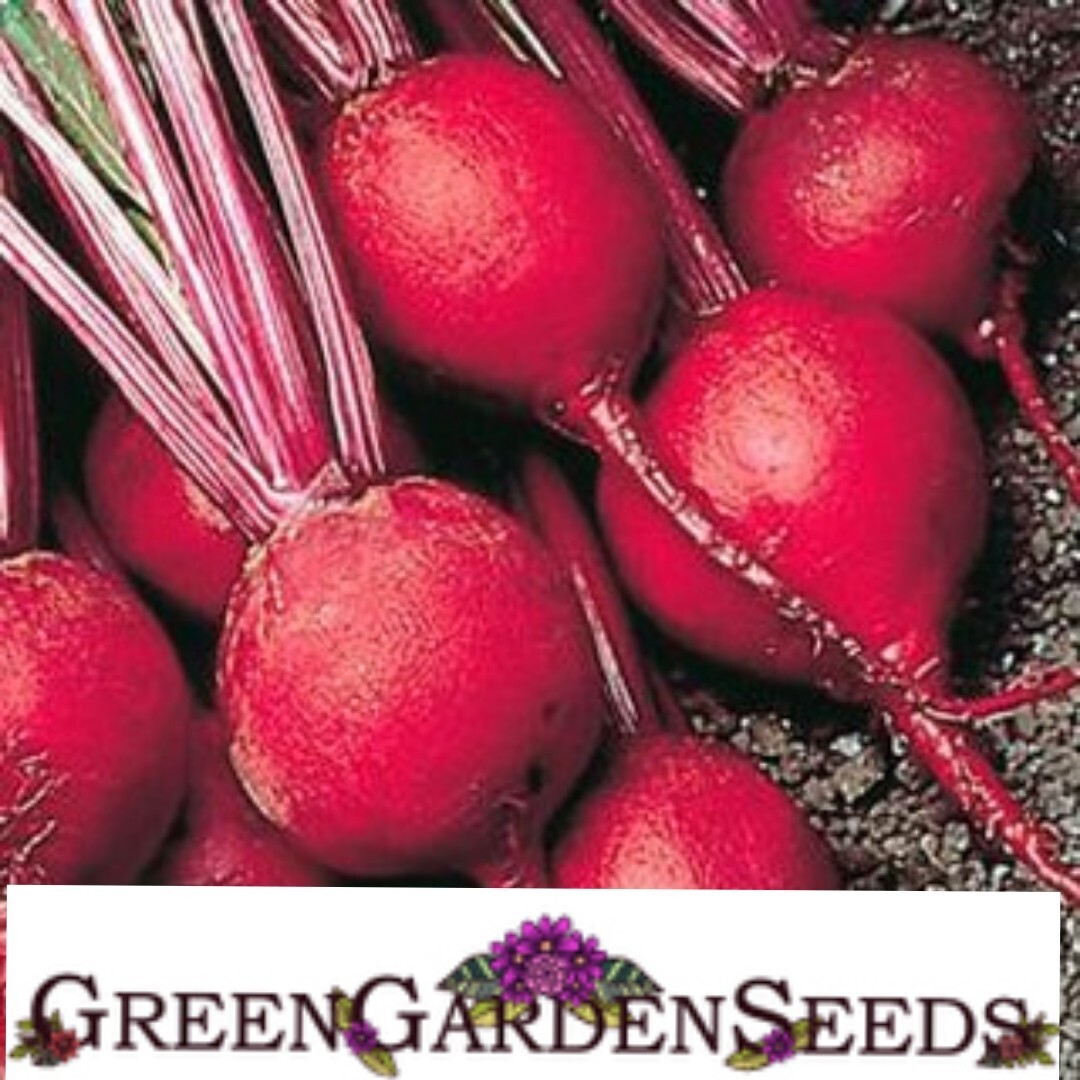 Beet Seeds - Detroit Dark Red | Vegetable Garden seeds| 100 Seeds | | eBay