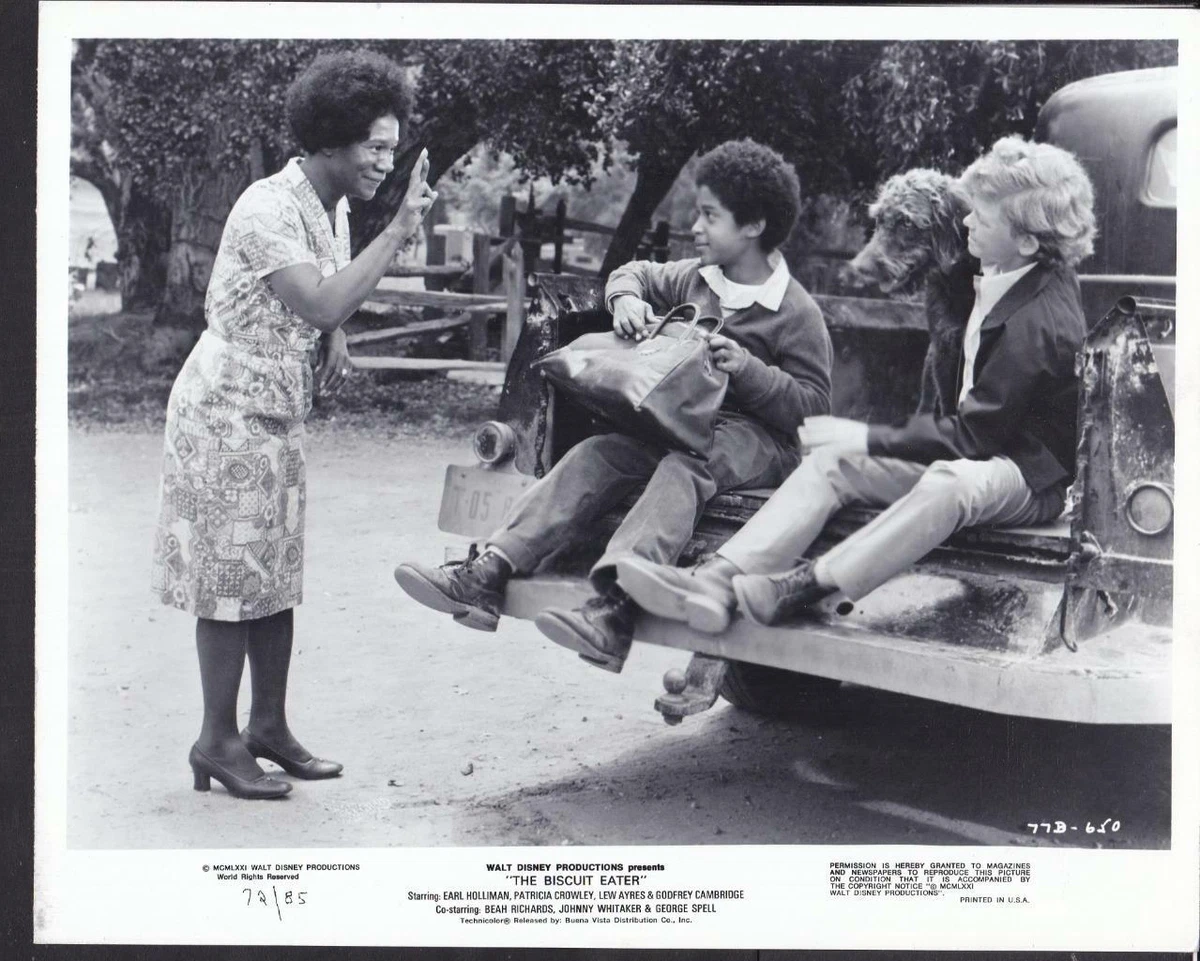 Johnny Whitaker Movies