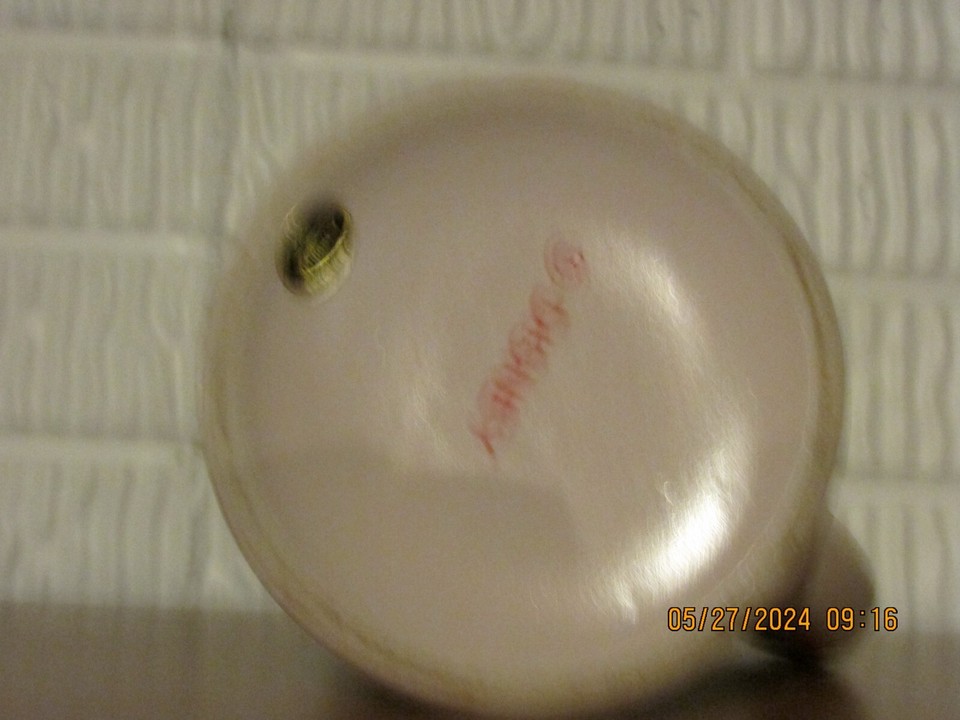 Disneyland decorative 6 inch beer stein with a box. | eBay