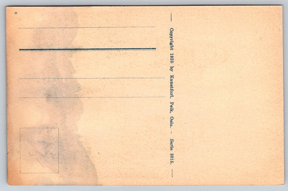 1925 Ancient Costumes Hordaland Norway Postcard | eBay