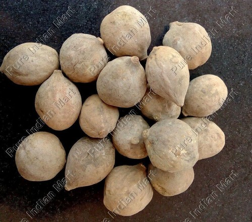 Bahera Bahada Terminalia Bellirica Gaertn Beleric Vibhitaka Dried Raw ...