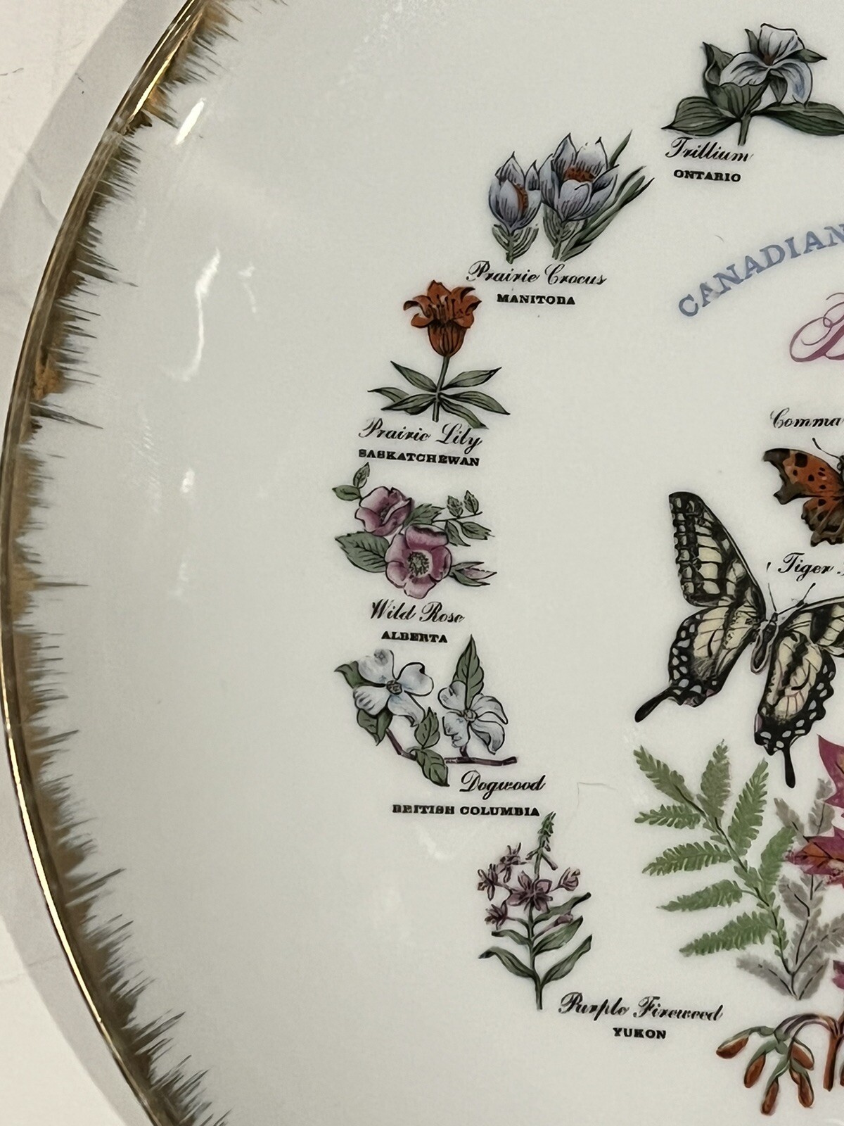 1964 Louis Hartley Giftcraft Canada Butterfly Decorative 10" Plate ...
