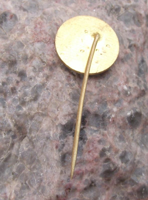 Vintage Konopiste Konopischt Castle Schloss Czech Fairytale Palace Pin ...