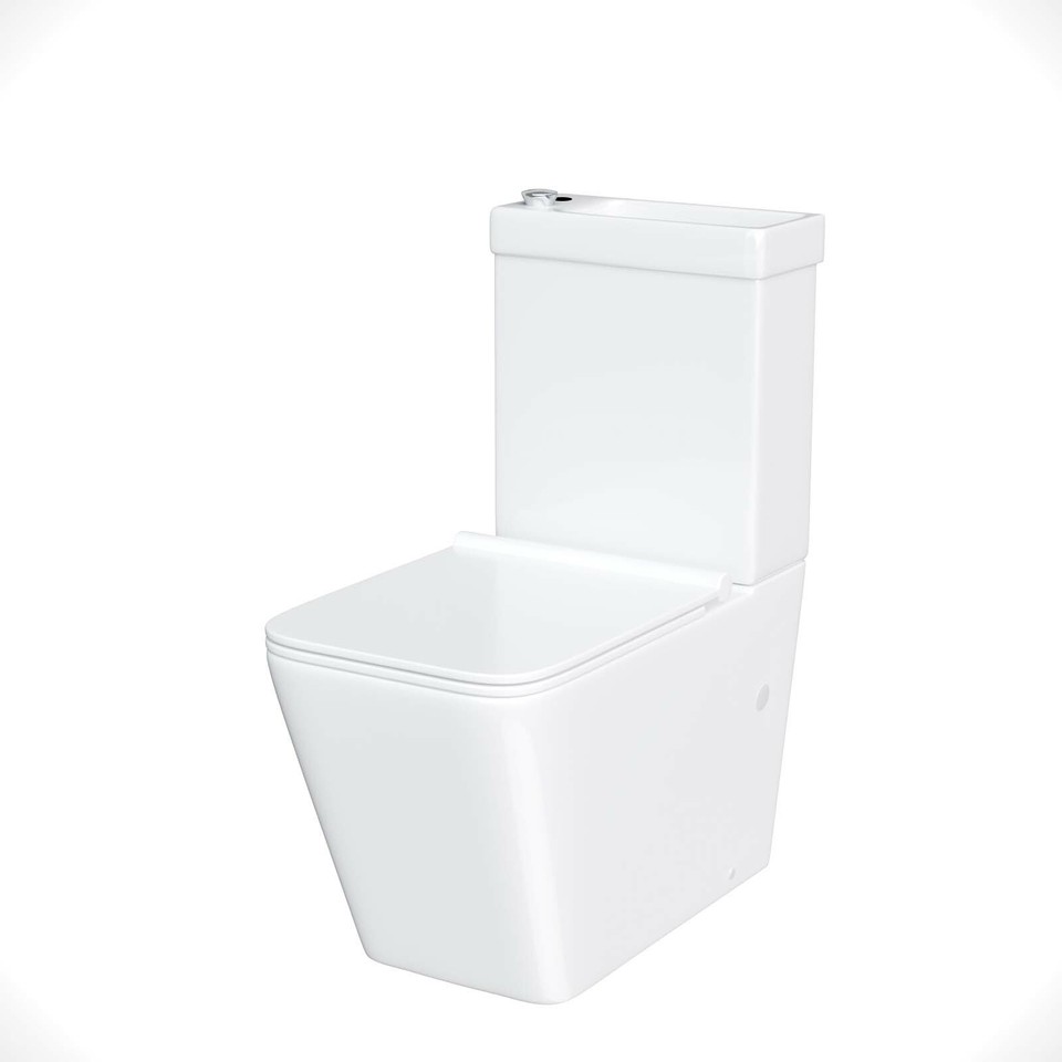 2 in 1 Close Couple Toilet and Basin Compact Combo with Seat Set Space ...
