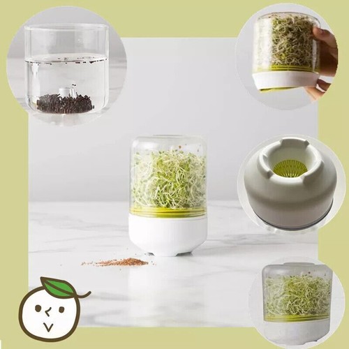 Sprouter Growing Kit Plant Germination Tool Countertop Bean Sprouts ...