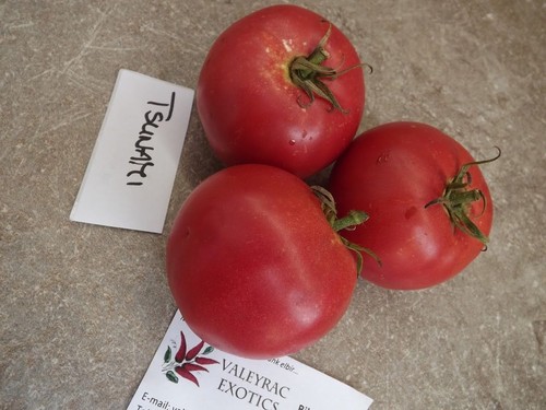 Tsunami Tomato - 5+ seeds - Heriloom Vegetable Seeds! P 060 | eBay