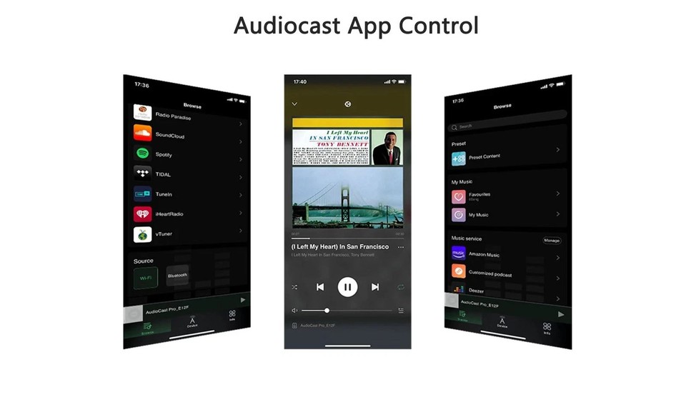 AUDIOCAST Pro M20 Audio Streamer & Pre-amp (WiiM alternative) - Spotify ...