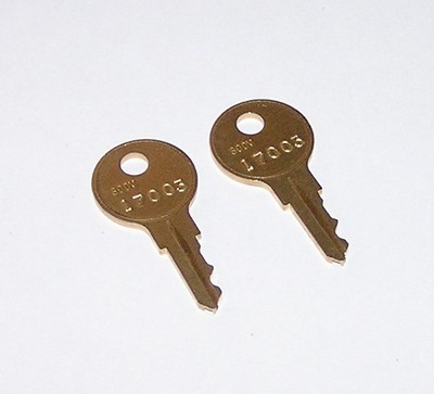 2 - 17003 Replacement Keys fit Fire Lite Notifier Fire Alarm Panel Pull ...