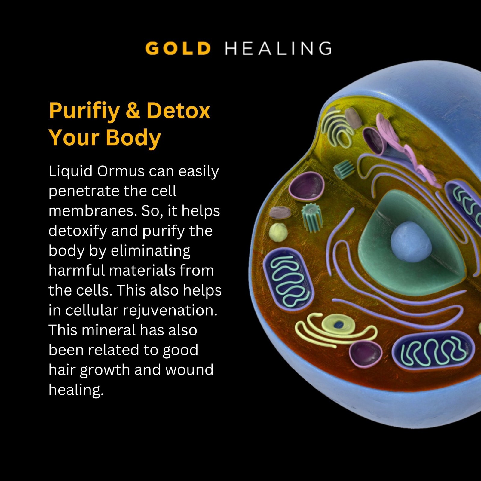 Gold Healing Monatomic Gold Ormus Liquid - 200ml, MANA, MUFKUTZ - Made ...