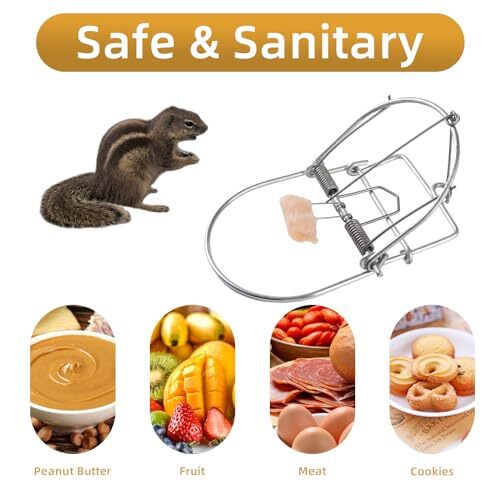 2 Pack of Small Live Animal Hunting Trap,Outdoor Hunting Tools Humane ...