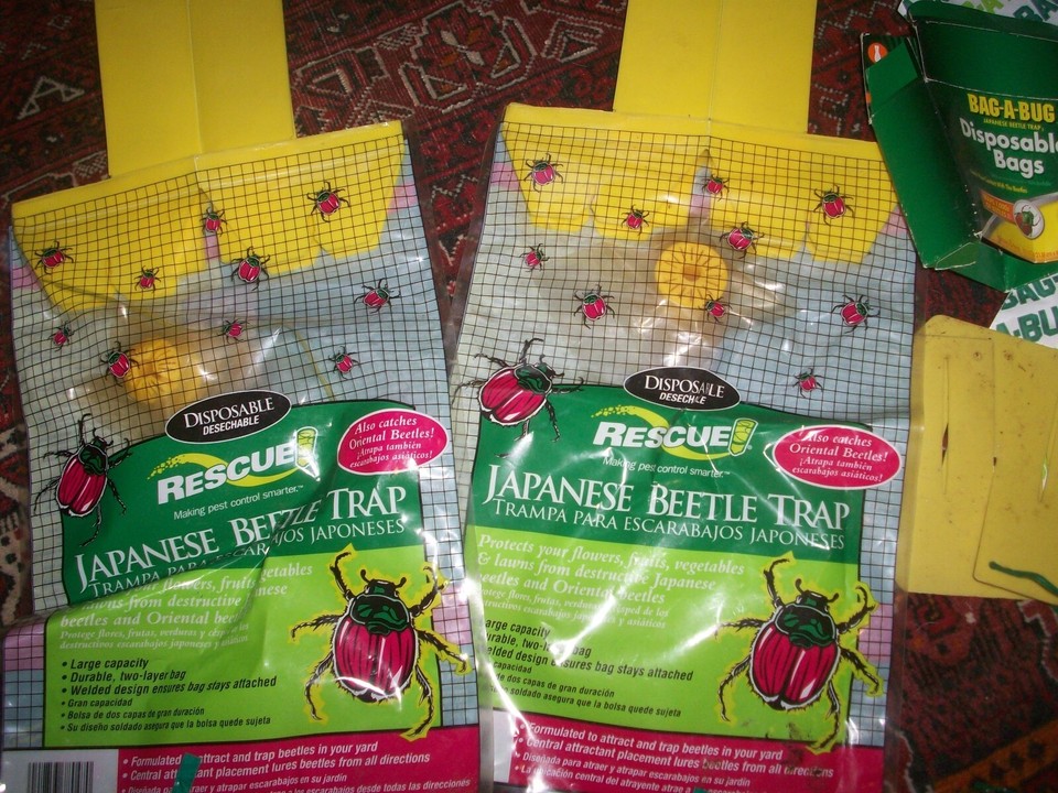 Rescue Reusable Japanese & Oriental Beetle Traps - 2 PACK + Spectracide ...