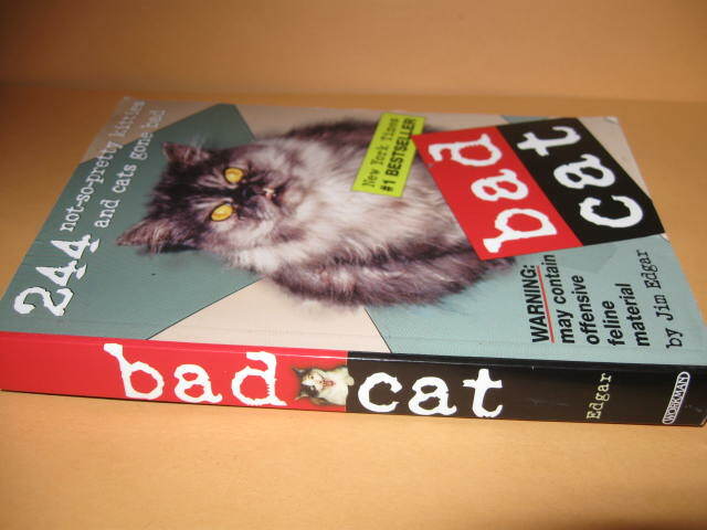 Cats Being Bad We're Surprisingly Bad At Reading Cats' Facial