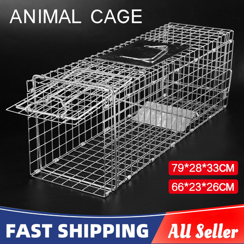 XL TRAP Humane Possum Feral Cage Cat Rabbit Bird Animal Dog Hare Fox ...