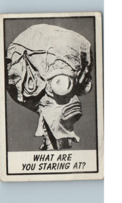 1963 Topps Monster Midgees Mini-Monster Laffs What are you staring at ...