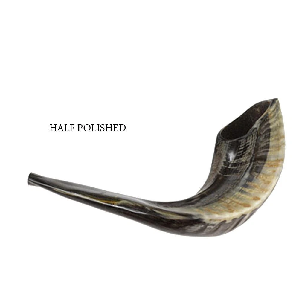 Jewish Shofar