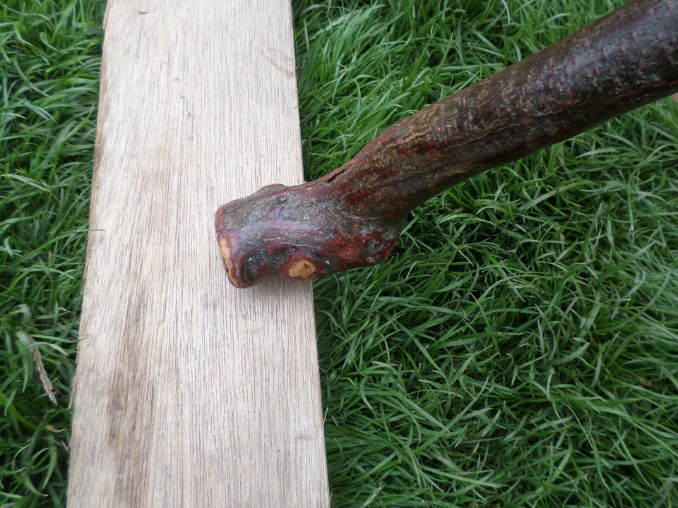 Blackthorn Knob Walking Stick Shillelagh VERY STRONG and solid piece ...