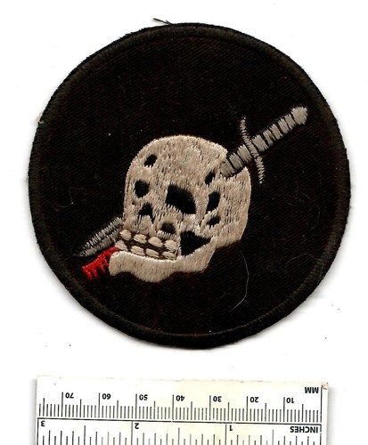 Vietnam War SPECIAL FORCES Recon Team Ops US Army Skull with Dagger ...