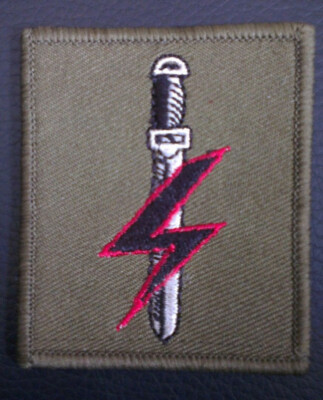 Special Forces Support Group SFPG RAF Regiment Para DZ TRF Patch | eBay UK