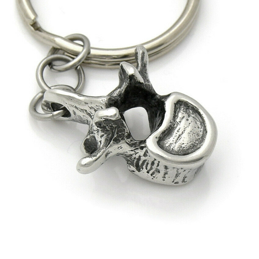 Lumbar Vertebrae Keychain, Chiropractor Scoliosis Doctor Keyring in ...