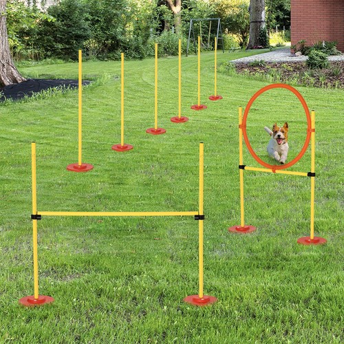 3pc Portable Dog Obstacle Course Backyard Agility Set w/ Adjustable ...