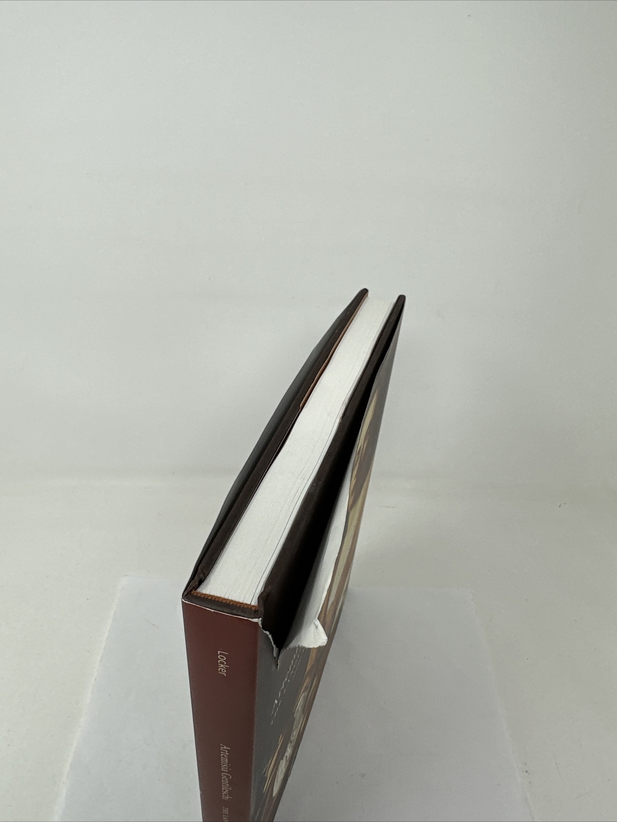 Artemisia Gentileschi : The Language of Painting by Jesse Locker (2015 ...