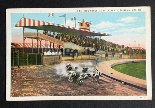 Dog Races Agua Caliente Tijuana Mexico Postcard c1930 Track Grandstand ...