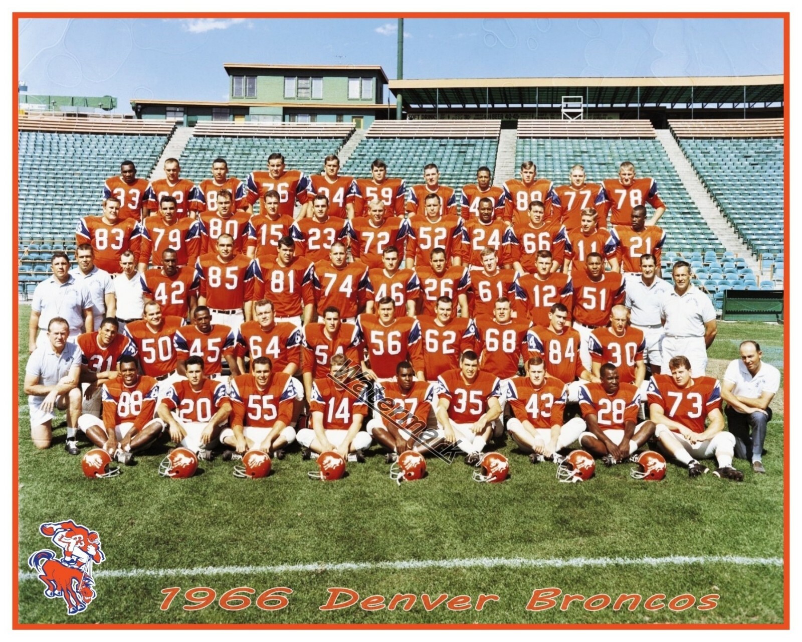AFL 1966 Denver Broncos Team Picture Color 8 X 10 Photo Picture | eBay