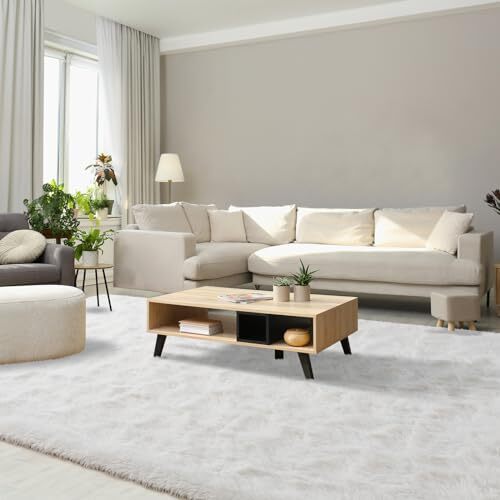 Fluffy Area Rugs for Bedroom Decor Aesthetic, 5x7 Shag Rug with 5x7 ...