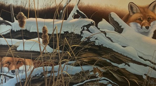 Daniel Renn Pierce Eyes on The Sly Foxes Original Acrylic Painting ...