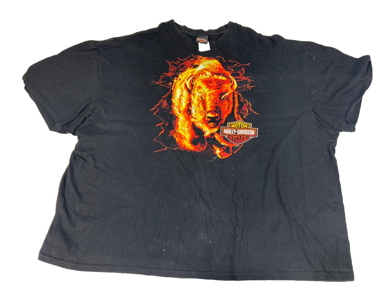 Harley Davidson Motorcycles Texas Buffalo Flames T Sh… - Gem