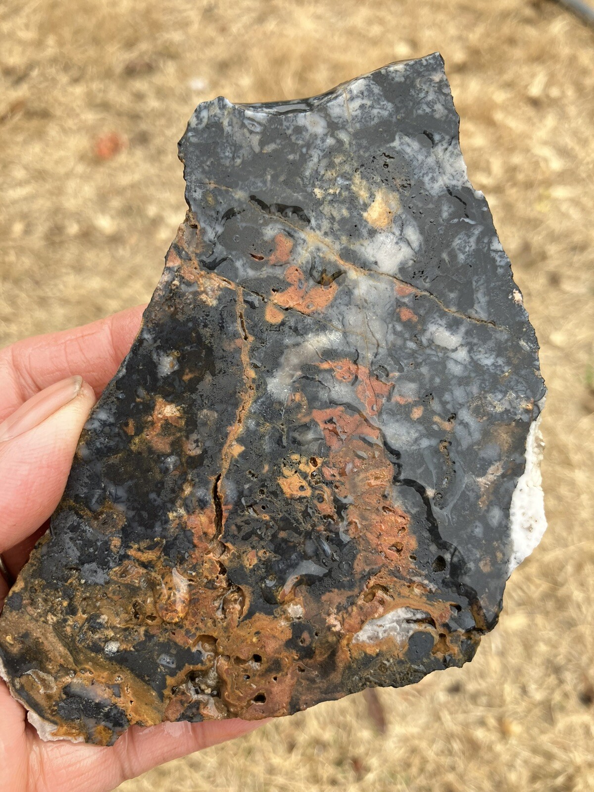 Big Diggins agate slab (New Mexico) | eBay