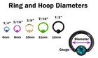 Segment Captive Ring Heavy 12 Gauge 1/2" Titanium Black IP * | eBay