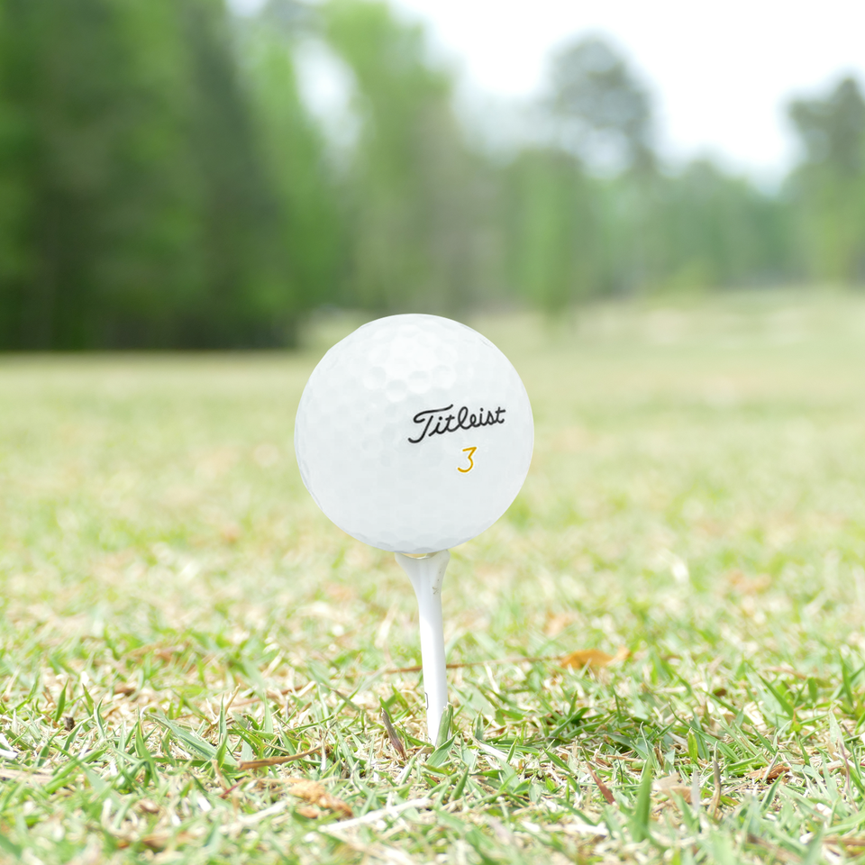Golf Ball Nut Used Titleist Mix Recycled Mint Grade 5A Golf Balls w ...