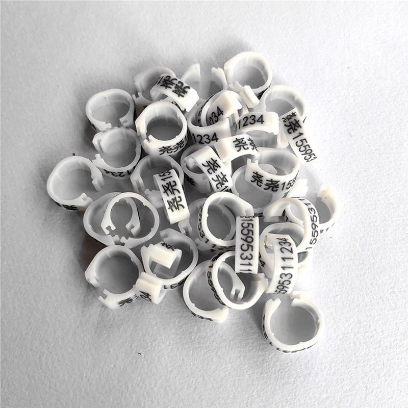Customerized 100Pcs Birds Rings 8mm Leg Bands Pigeon Parrot Clip Rings ...