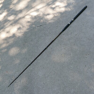 Masterline MS60 MasterStik 30Lb Class 1-piece ~ Pier/Boat Fishing Rod ...