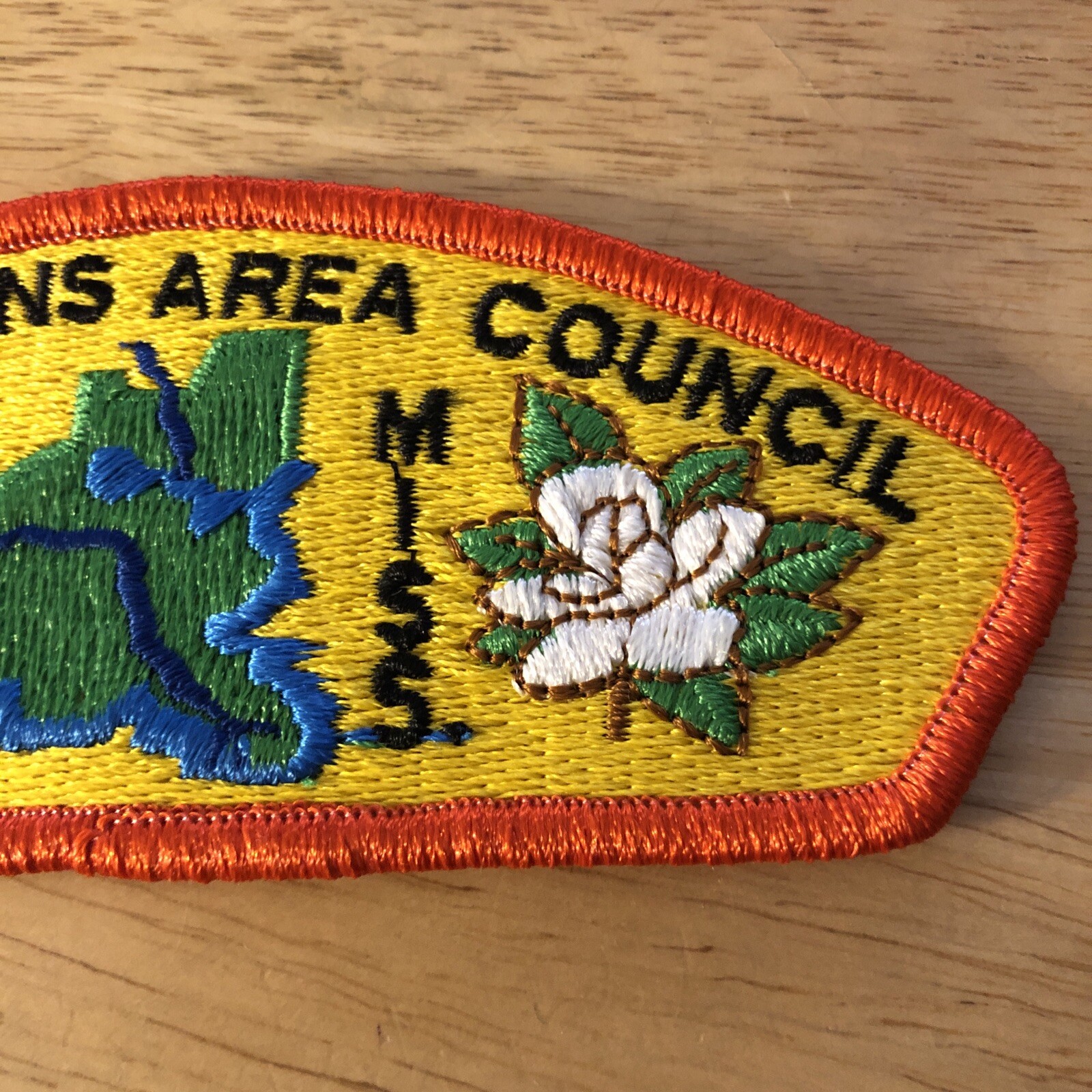 New Orleans Area Council BSA Patch CSP - Closed Council - New | eBay