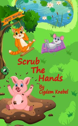 Scrub the Hands : Early Decodable Chapter Books for Struggling Readers ...
