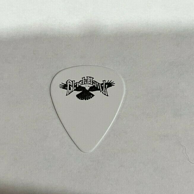 Black Hawk Henry Paul Concert Tour Guitar Pick BlackHawk | eBay