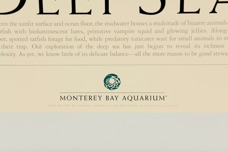 Vintage DEEP SEA Monterey Bay Aquarium Poster 1999 Larry W. Duke Artist ...