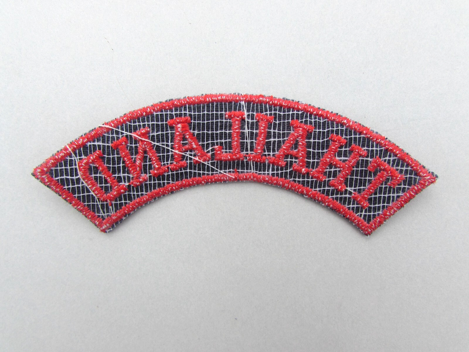 ORIGINAL THAI MADE "THAILAND" ARC FOR OD CAMO COWBOY GO TO HELL BUSH ...