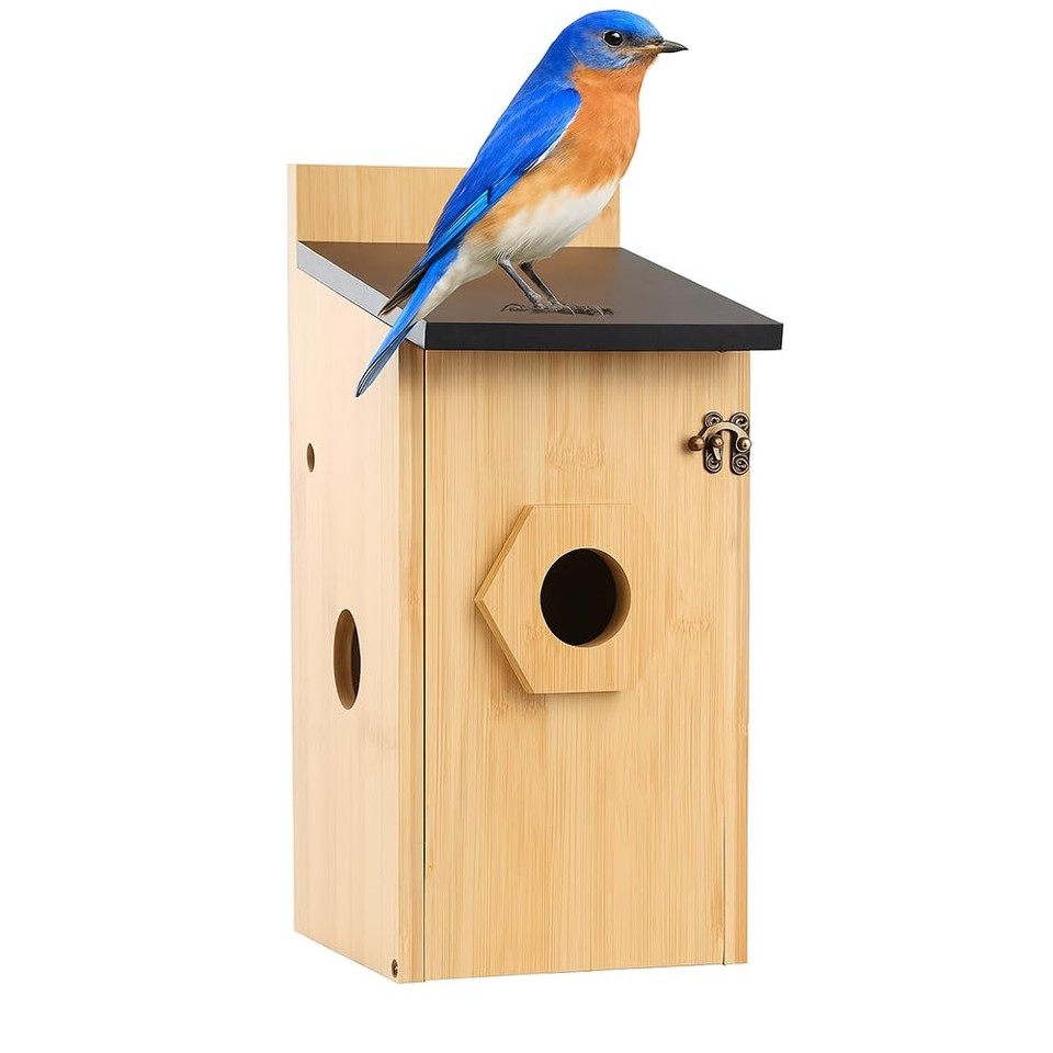 Bird House for Outside – Rustic Hanging Birdhouse for Bluebirds ...