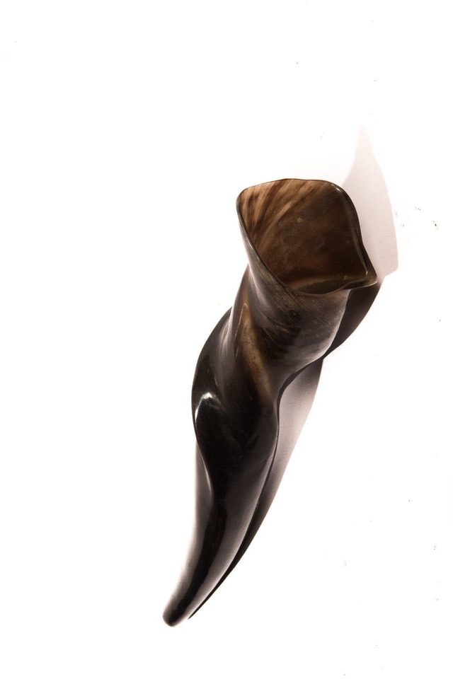 Shofar Eland Horn For Sale 18''-22'' Kosher Polish Good Sound Shofars ...