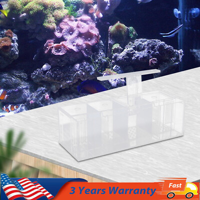 Aquaponic Fish Tank 4-Grid Desktop Fish Tank Rectangle Acrylic Betta ...