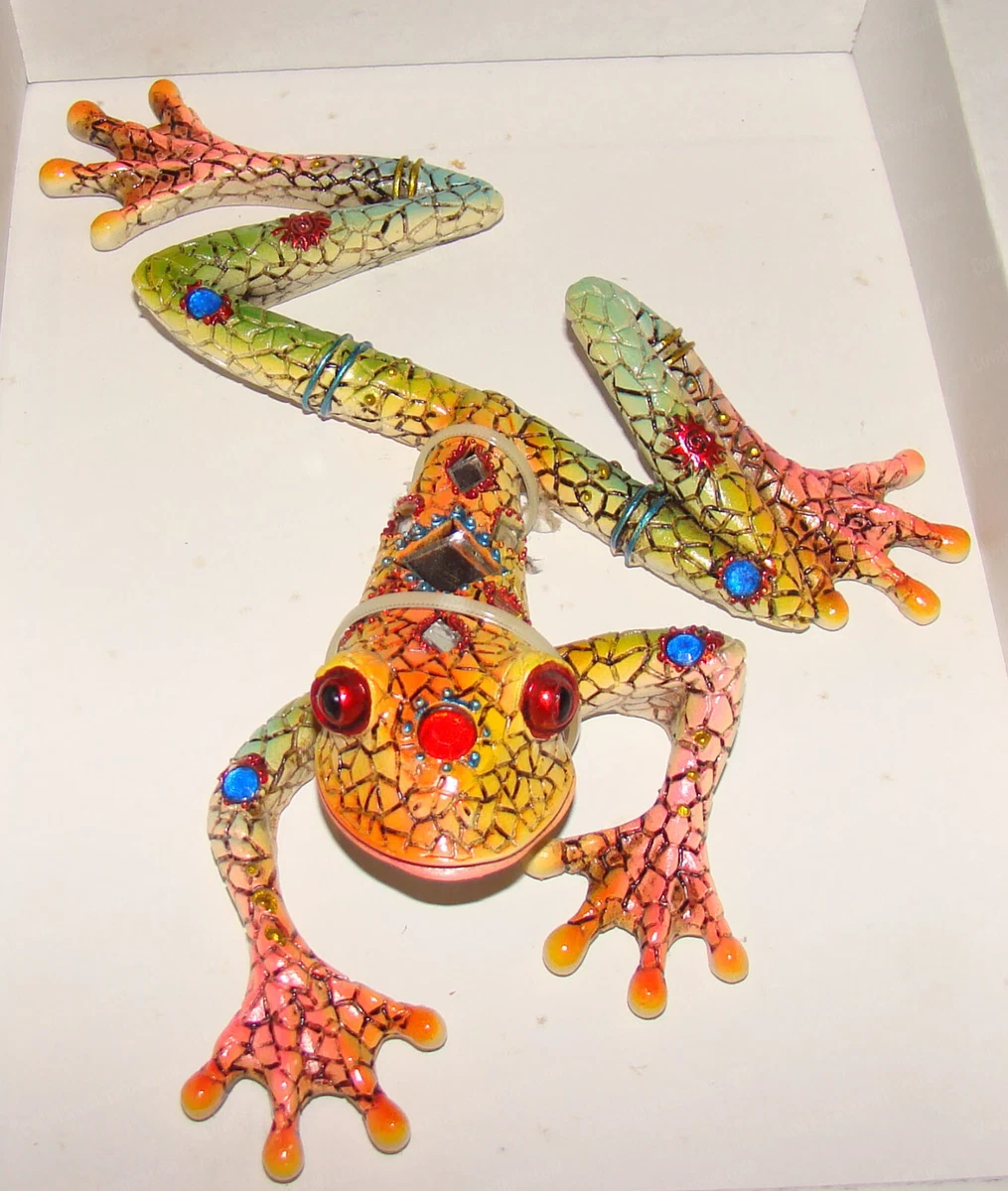 Climbing Tree Frog Drawings