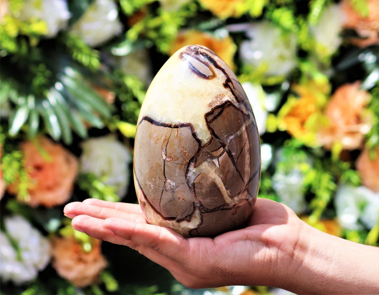 135MM Yellow Septarian Egg Septaria Septeyre Chakra Crystal Healing ...