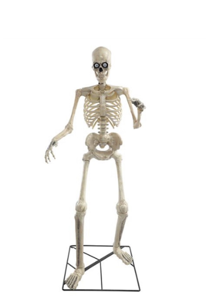 Halloween Prop 6 Ft. Grim Animatronic Animated Skeleton Prop Spirit ...
